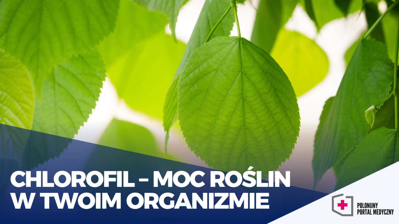 Chlorofil – moc roślin w twoim organizmie | Polonijny Portal Medyczny